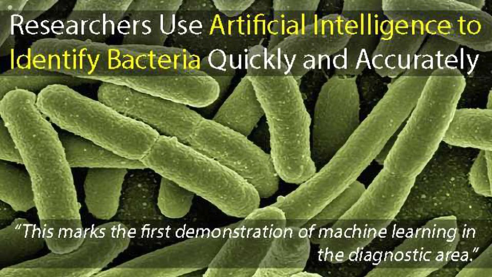 Identify Bacteria Quickly and Accurately Using Artificial Intelligence ...