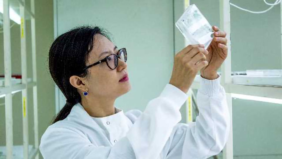 Breakthrough Study Reveals New Insight Into “Immortal” Plant Cells ...