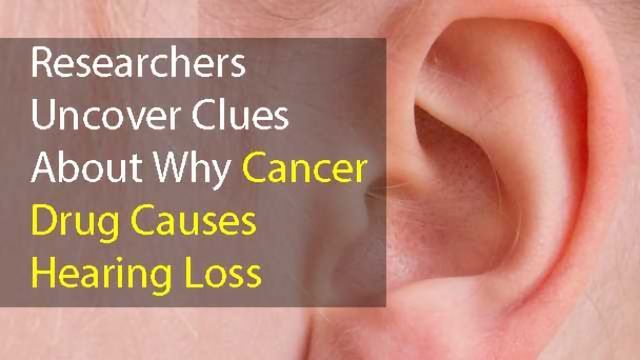 Researchers Uncover Clues About Why Cancer Drug Causes Hearing Loss ...