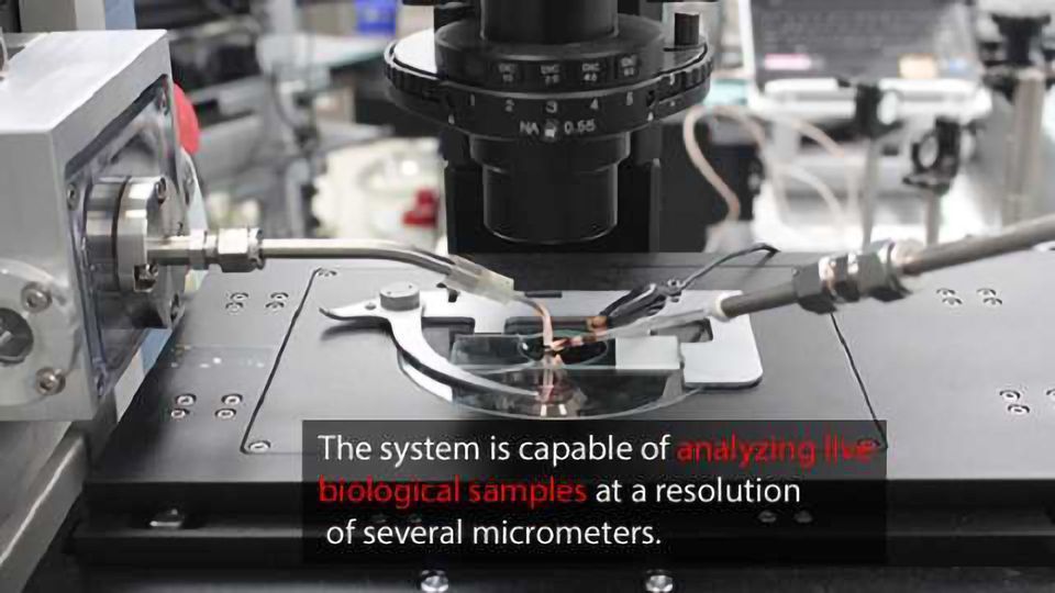 Mass Spectrometric Imaging Method Makes Diagnosis Easier and Smarter ...