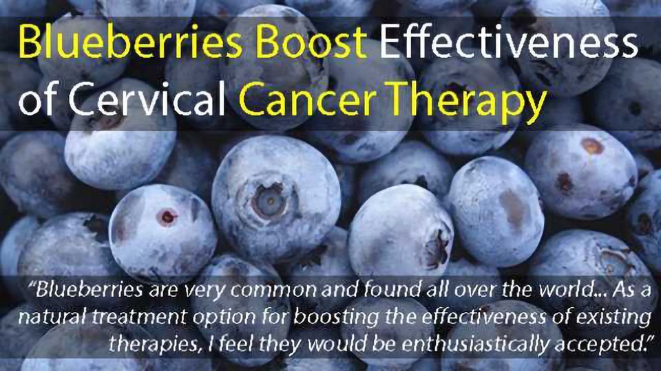 Blueberries Boost Cervical Cancer Therapy | Technology Networks