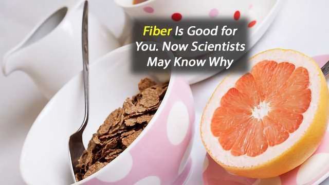 Fiber Is Good for You. Now Scientists May Know Why | Technology Networks
