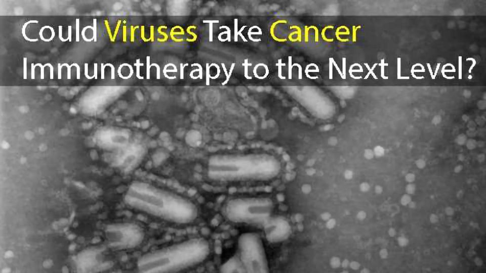 Taking Cancer Immunotherapy to the Next Level Using Viruses ...