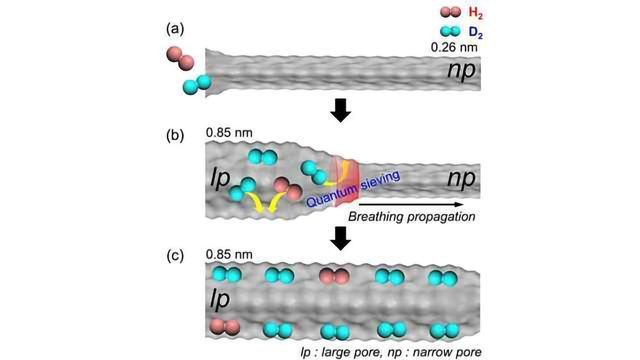 New Strategy for Isotope Separation with Flexible Porous Material ...