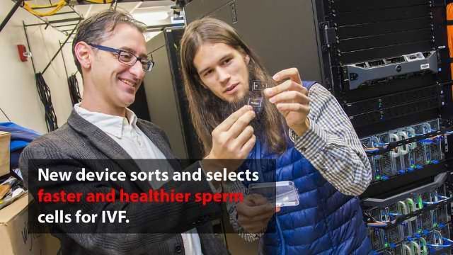 Sperm-Sorting Device That Could Improve IVF Success Developed | Technology Networks