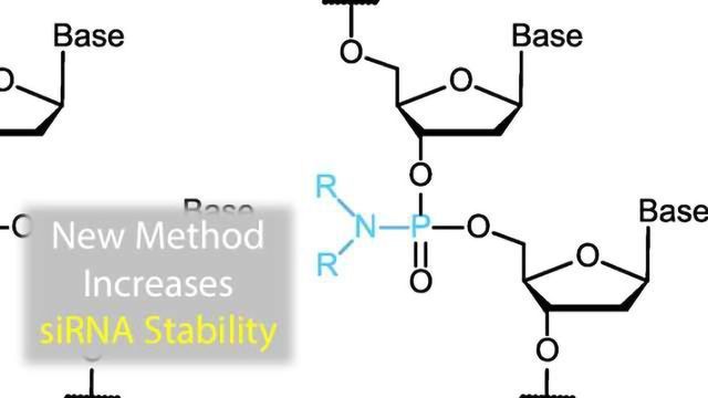 New technique stabilizes siRNAs without affecting gene silencing ...