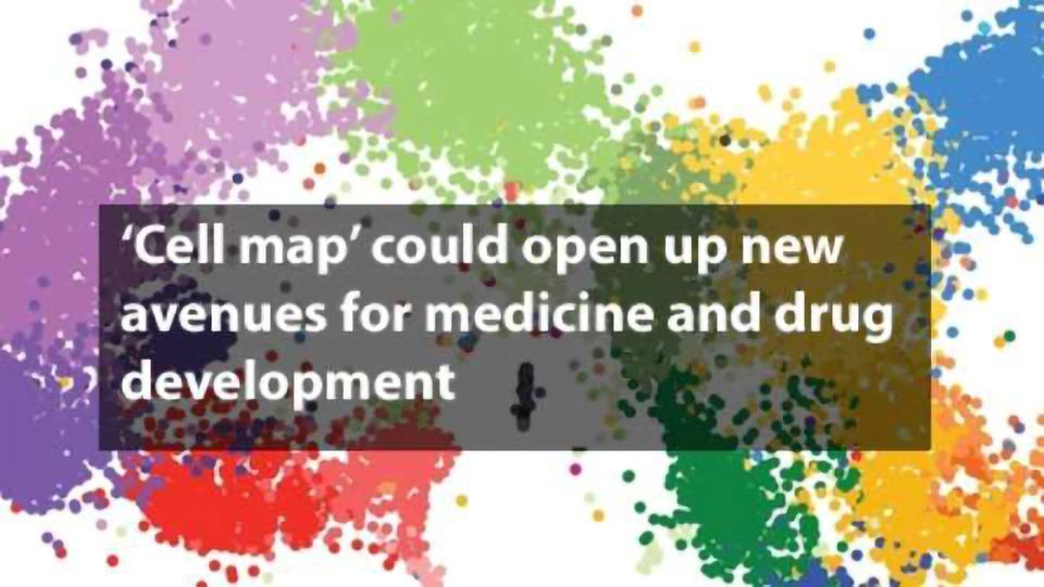 First ‘Cell Map’ of 20,000 Cells in Mammalian Embryo | Technology Networks