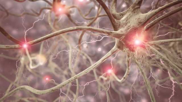 Genetic ‘Switches’ that Guide Human Brain Development Mapped ...