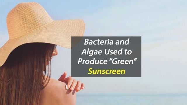 Bacteria and Algae Provide "Green" Sunscreen | Technology Networks