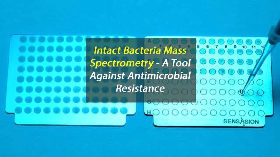 Intact Bacteria Mass Spectrometry Enables Detection of Antimicrobial ...