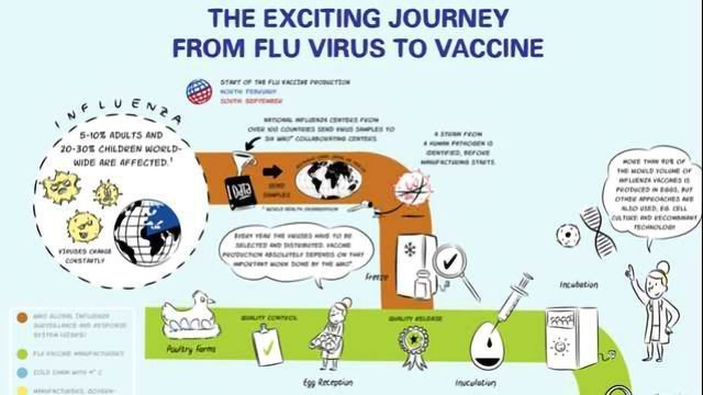 The Exciting Journey from Flu Virus to Vaccine Infographic | Technology ...