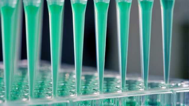 Navigating Drug Discovery With High-Throughput Screening | Technology ...