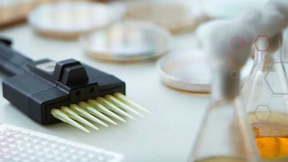 Fraunhofer and Mologic Partner on Point-of-Care Diagnosis and ...