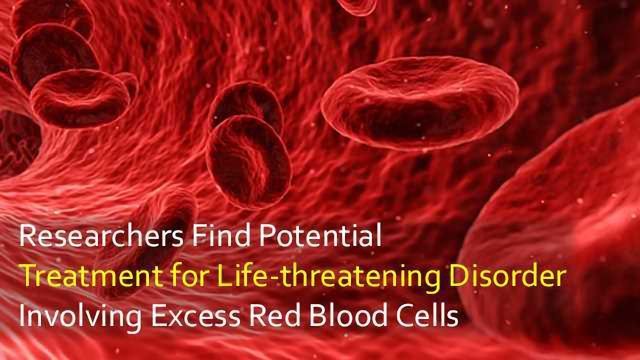 Potential Treatment for Disorders Involving Excess Red Blood Cells ...