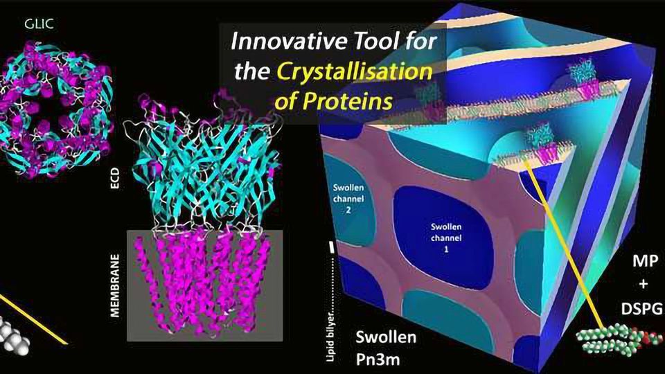 Determining Structures For Large Proteins is Now Easier | Technology ...