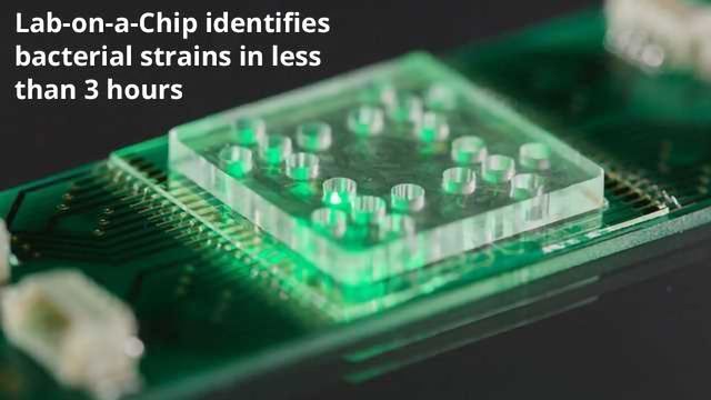 Rapid Test Helps with Administering the "Correct" Drug | Technology ...