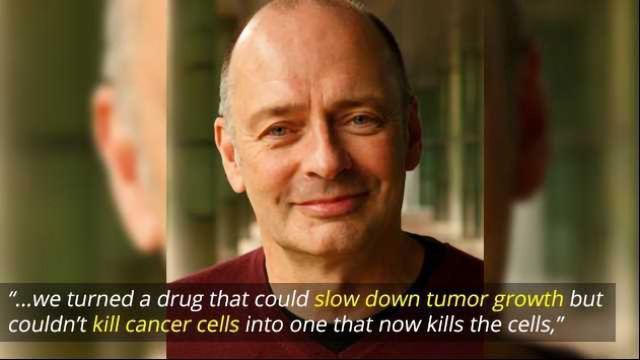 Stress Cancer Cells to Death: Turning Off Autophagy Helps Chemotherapy ...