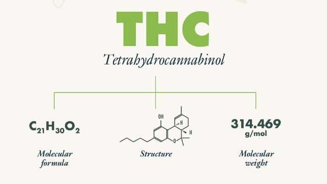 Cannabinoids: Therapeutic Potential and Medical Uses Infographic ...