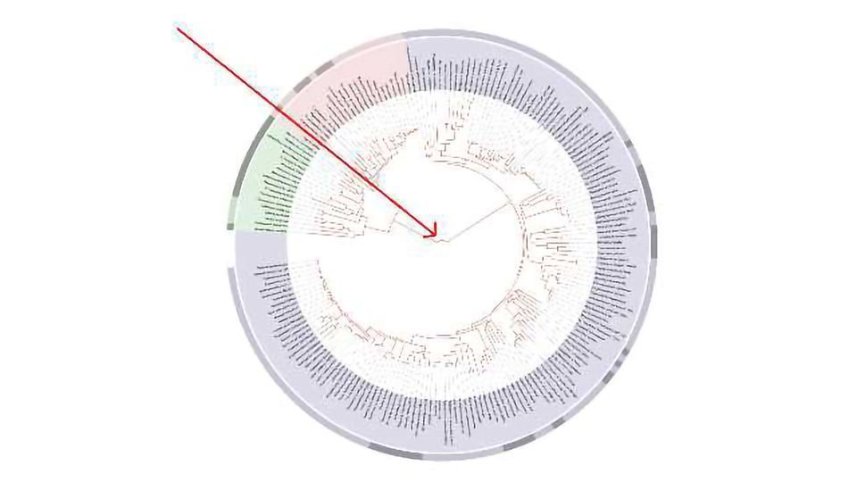 LUCA Lipid Study Refutes Theory of Life's Origin | Technology Networks