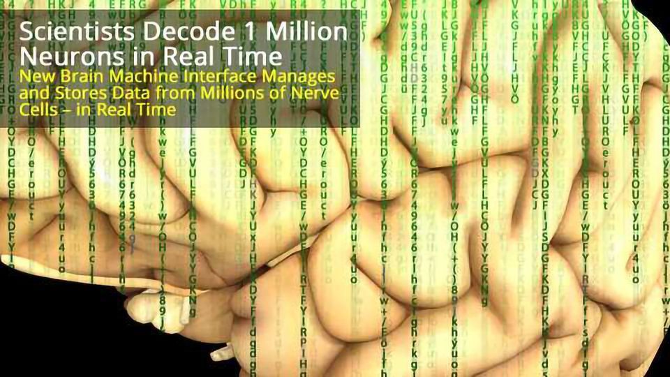 Researchers Can Now Decode Information from 1 Million Neurons in Real ...