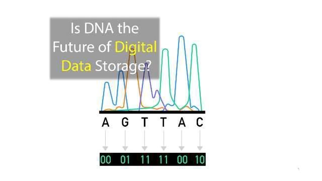 Is DNA the Future of Digital Data Storage? | Technology Networks