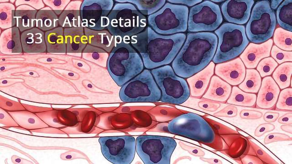 $300 Million Cancer Atlas Exposes Tumor Genomes | Technology Networks