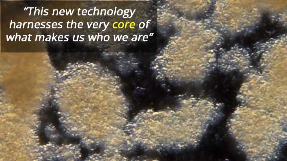 DNA Barcodes Help Track Cells | Technology Networks