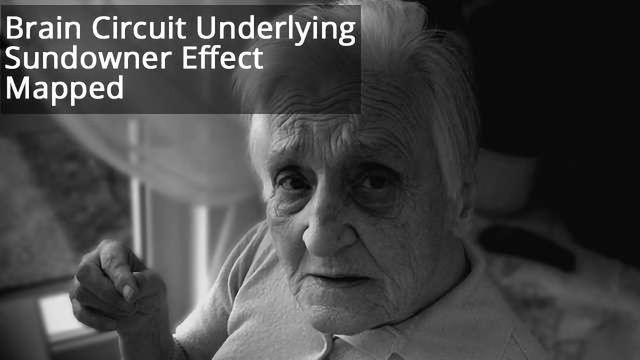 Researchers Map Circuit Connection Between Clock Nucleus and Aggression ...