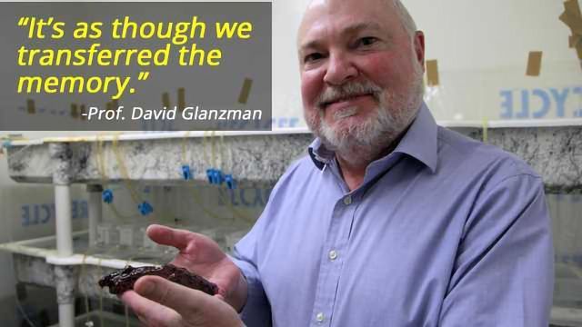 Neuroscience News | Page 782 | Technology Networks