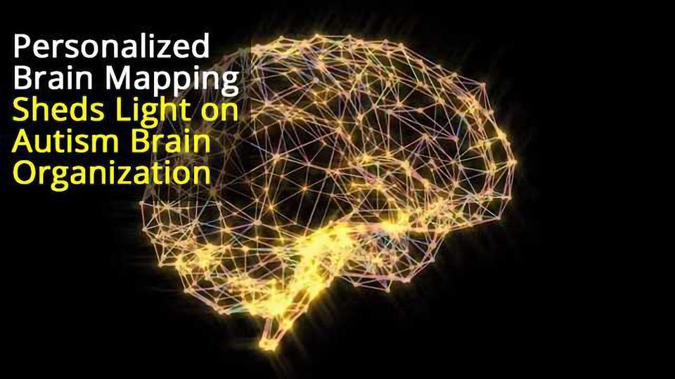Differences in Spatial Layout of Brain Networks in People With Autism ...