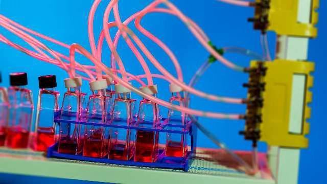 Will Microfluidic Cell Culture Fulfill its Long-awaited Potential ...