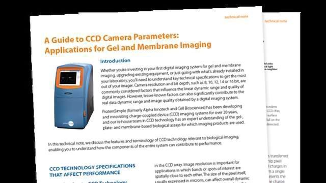 Improve Your Gel and Membrane Imaging: A Guide to CCD Camera Parameters ...
