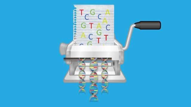The Gene Factory: Can Enzymes Revolutionize Man-Made DNA Synthesis ...