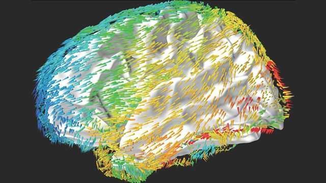 Engineers Reveal How Brain Waves Support Memory | Technology Networks