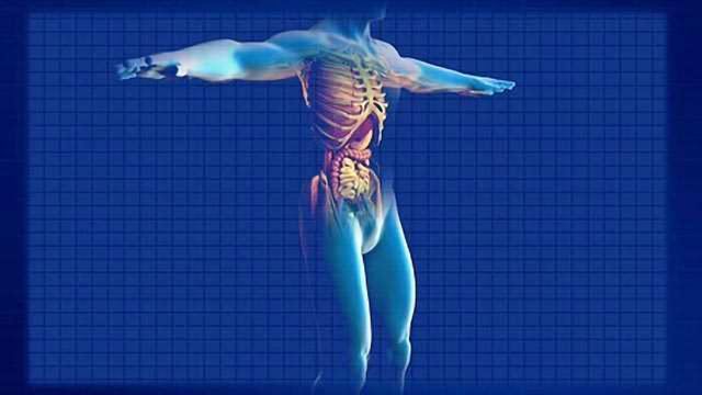 Why Internal Scars Won't Stop Growing | Technology Networks