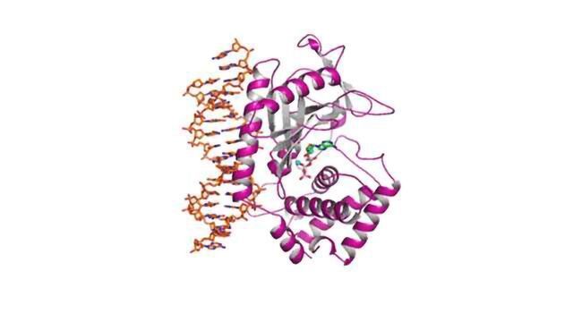 Guardian of the Cell | Technology Networks