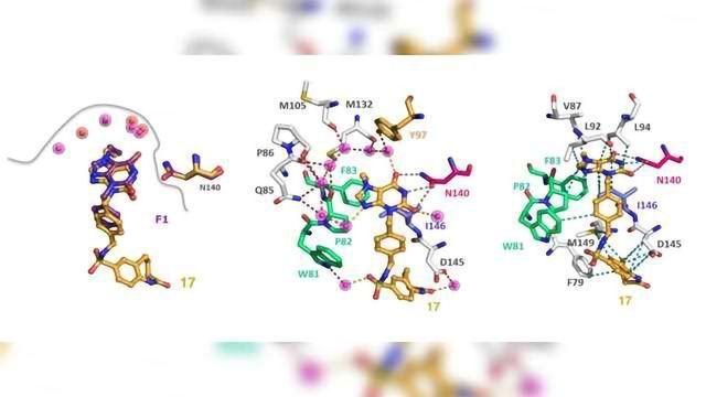 Effective Approach to Optimizing Medicinal Molecules | Technology Networks