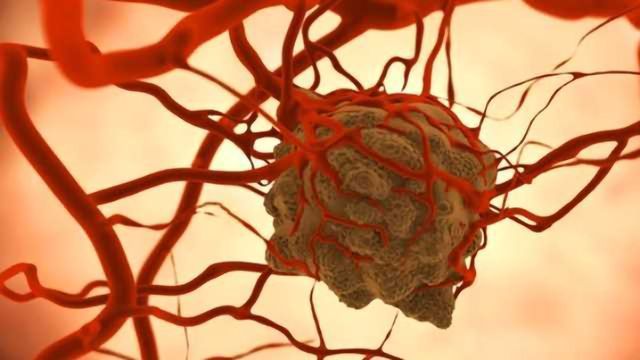 Characterizing the Function of Rare Tumor Cells | Technology Networks