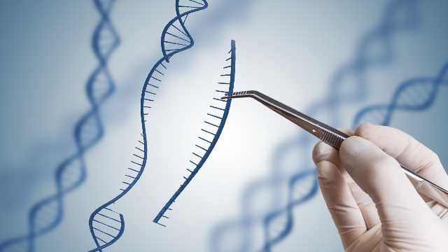 Decoding The Structure Of An Rna Based Crispr System Technology Networks