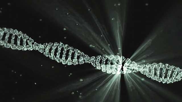 Synthetic DNA Vaccine Shows Promise for Cancer Immunotherapy ...