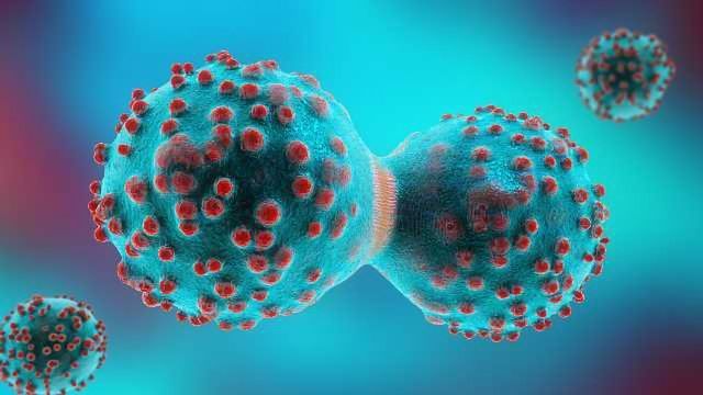 Single-Cell DNA Sequencing Weaves a Way Towards Personalized Cancer ...