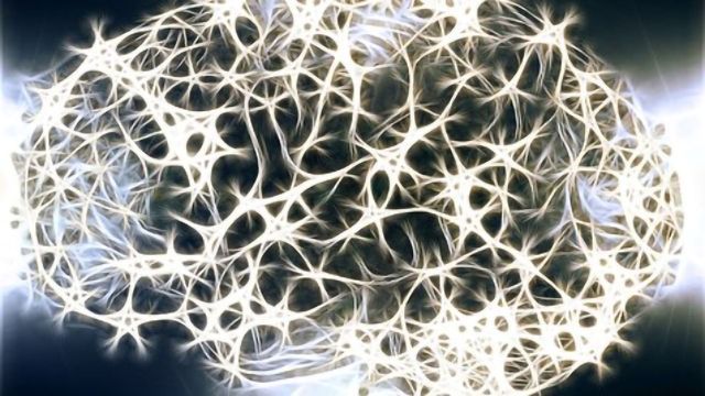 Difference in Brain Connectivity May Explain Autism Spectrum Disorder ...