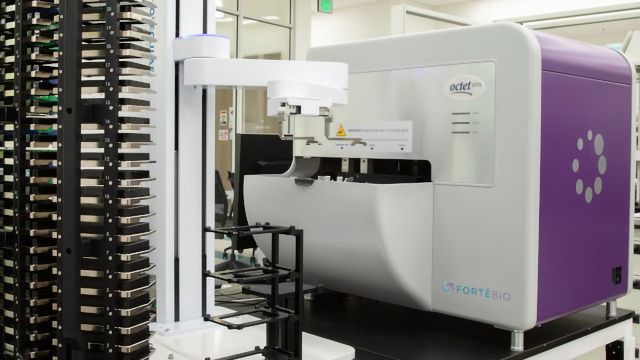 Cell line development: accelerating antibody discovery by monitoring ...