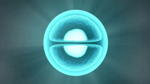 Hematopoietic Stem Cells: Making Blood Thicker Than Water | Technology ... Hematopoietic Stem Cells: Making Blood Thicker Than Water | Technology ...