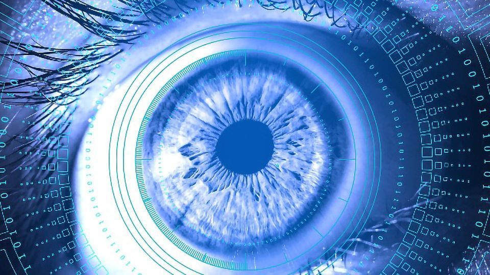 A BOLD Step Towards Improving Computer Vision | Technology Networks