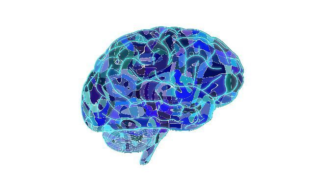 Electroconvulsive Therapy Helps "Reset" How the Brain Visualizes Events ...