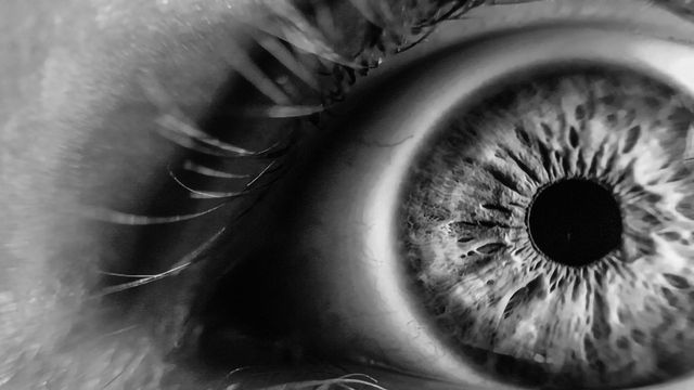 Eye’s Vulnerability to Macular Degeneration Revealed | Technology Networks