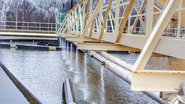 Vital Role for Bacteria in Next-Generation Wastewater Treatment ...