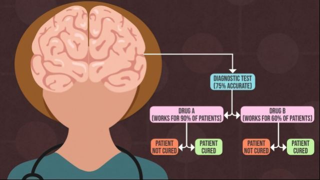 Breaking Down How the Brain Breaks Down Big Decisions | Technology Networks