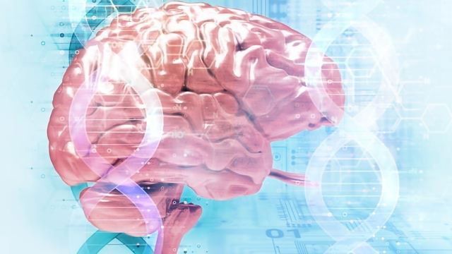 Gene Linked to Impaired Memory in Down Syndrome – A Potential Drug ...